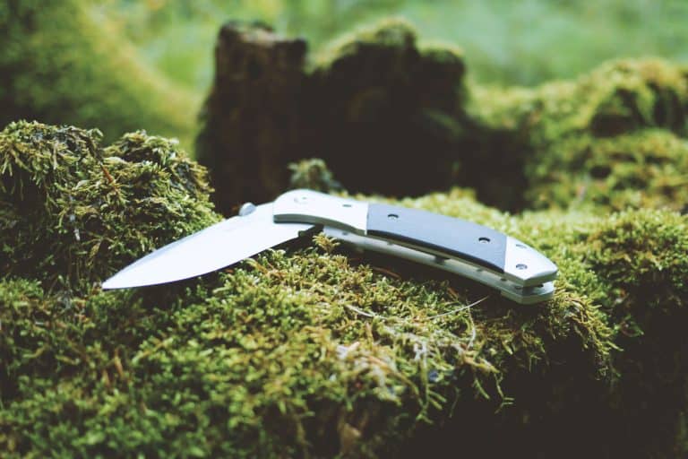 The 15 Best Survival Knives of 2022 - Top Fixed Blade Knife for Bushcraft