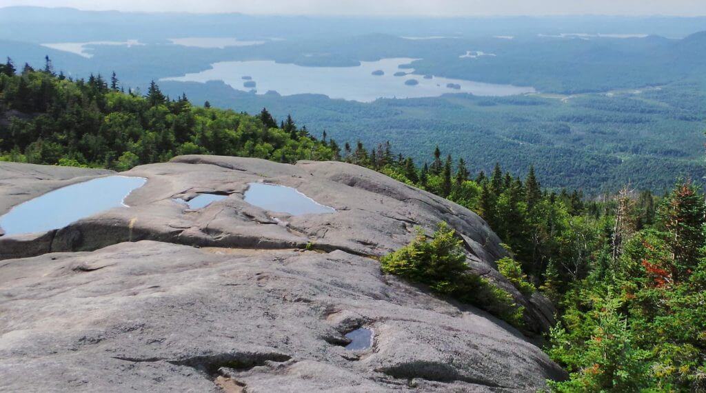 10 Ways to Find Water to Survive the Wilderness - Know Prepare Survive