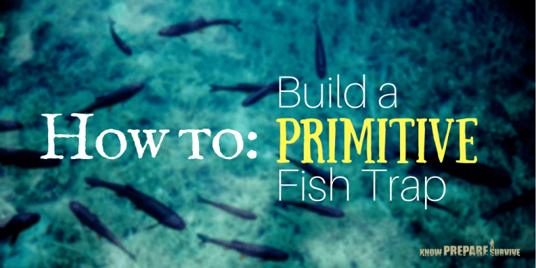 Fishing Weirs: How to Build a Primitive Fish Trap (No Tools Needed!)
