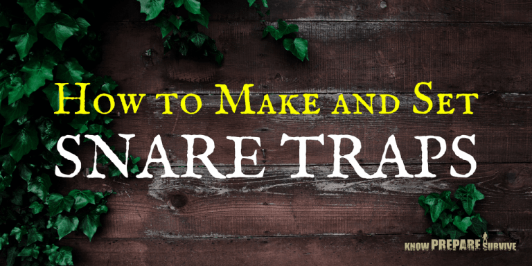 How to Make and Set Snare Traps: Step by Step Guides and Tips