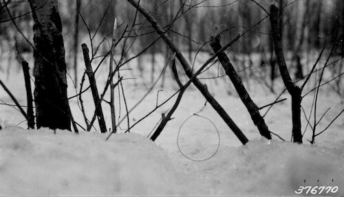 How to Make and Set Snare Traps: Step by Step Guides and Tips