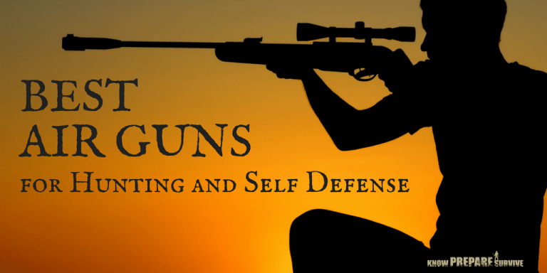 2025's Best Pellet and Air Rifles for Hunting and Self Defense