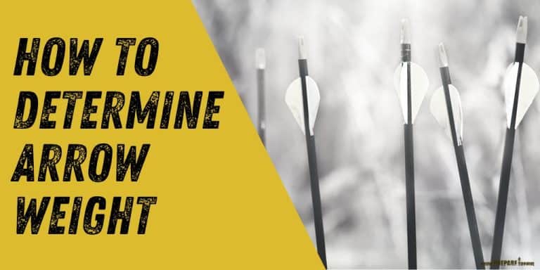 How To Determine the Best Arrow Weight? Our Ultimate Guide