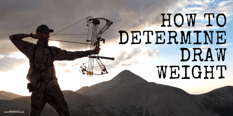 Is Your Bow Too Heavy? How to Determine Proper Bow Draw Weight