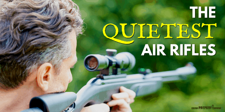 2023's Top 10 Quietest Air Rifles for Hunting and Backyards
