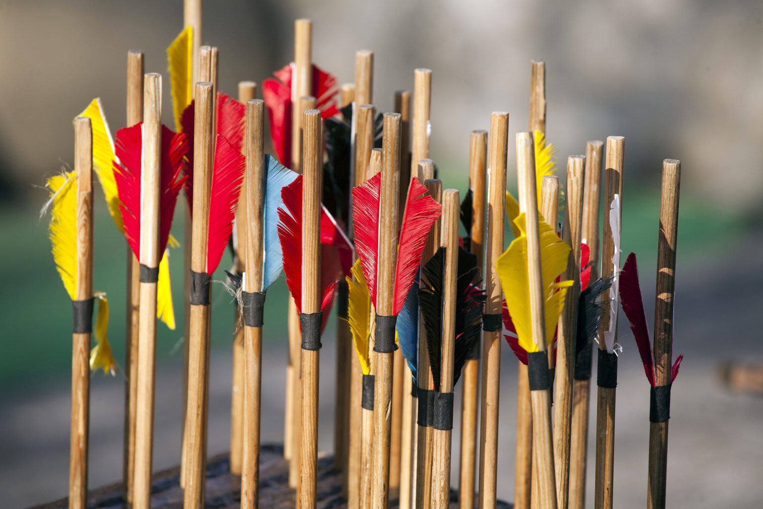 How To Determine the Best Arrow Weight? Our Ultimate Guide